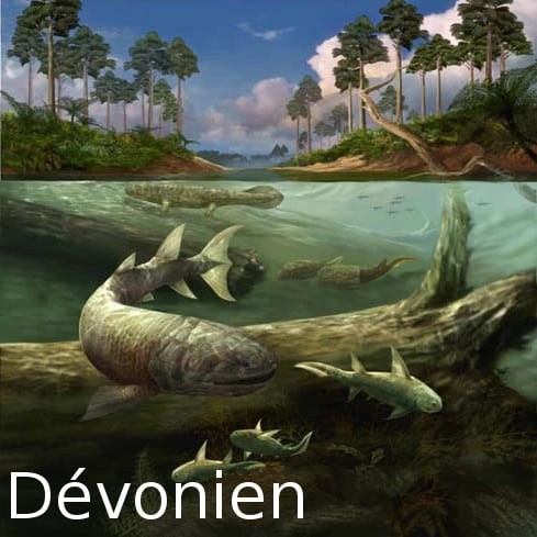 Dévonien, quand il y avait des terres en vue | Dinosauress