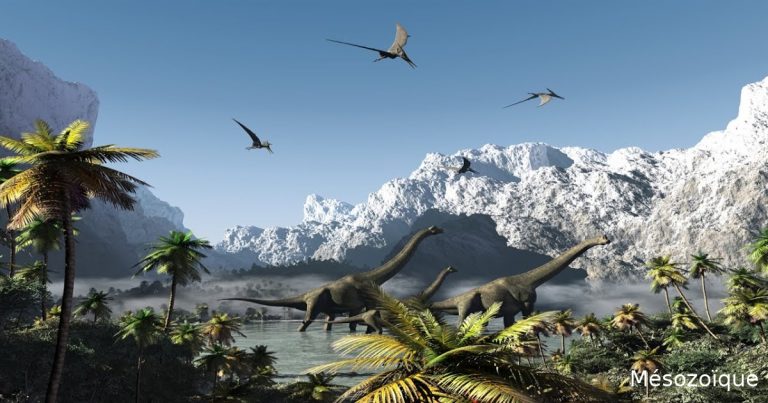Mésozoïque, quand la Terre était chaude et humide | Dinosauress