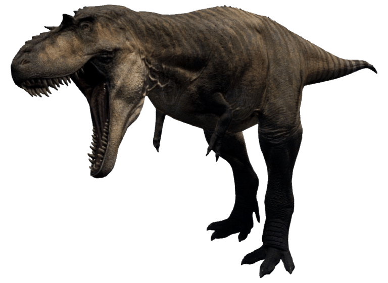 L'Albertosaurus: le parent cruel du T.rex | Dinosauress