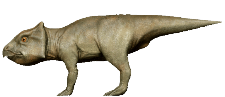 Leptoceratops | Dinosauress