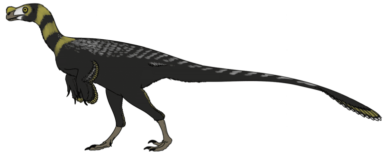 Ornitholestes | Dinosauress