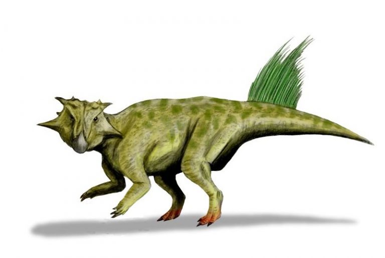 Psittacosaurus | Dinosauress