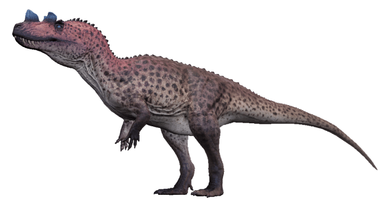 Ceratosaurus | Dinosauress