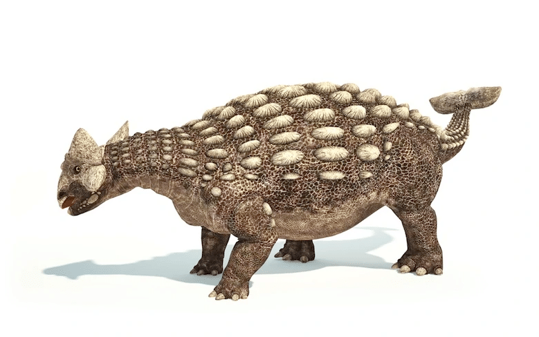 Anodontosaurus | Dinosauress