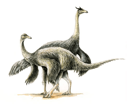 anserimimus | Dinosauress